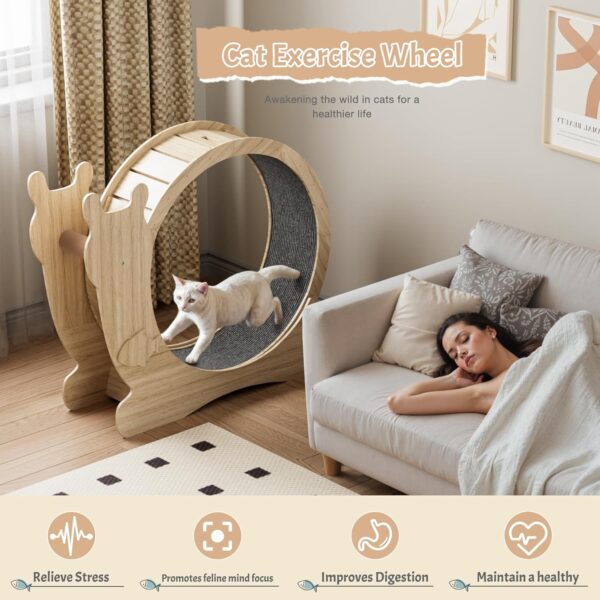 Large Cat Exercise Wheel for Indoor Cats Silent Running with Locking ...